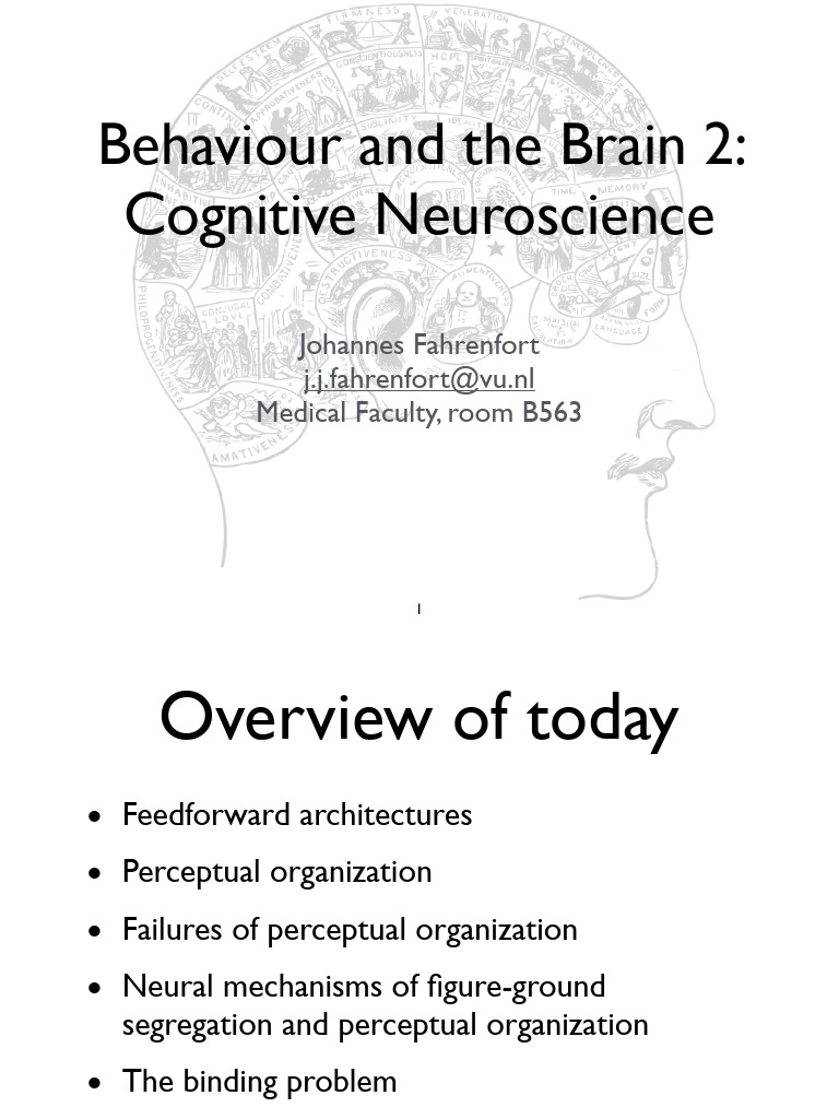Lecture 6-Visual Perception | PDF | Visual Cortex | Nervous System