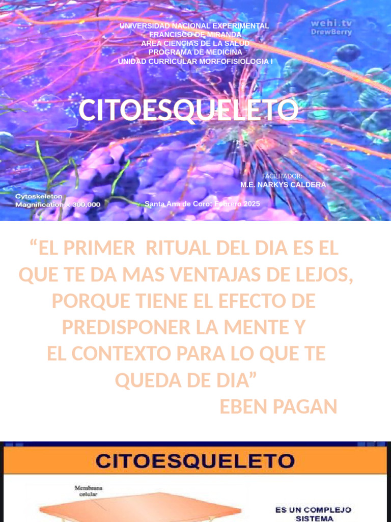 Estructura y Función del Citoesqueleto | PDF | Microtúbulos | Actina