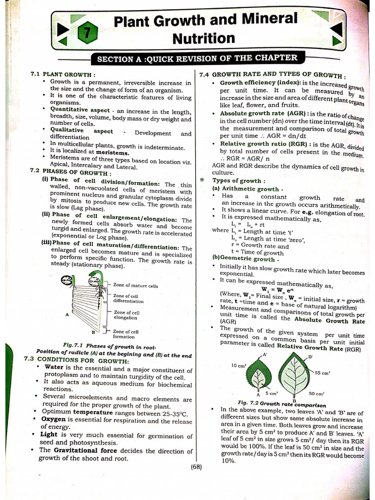 Plant Growth and Mineral Nutrition | PDF