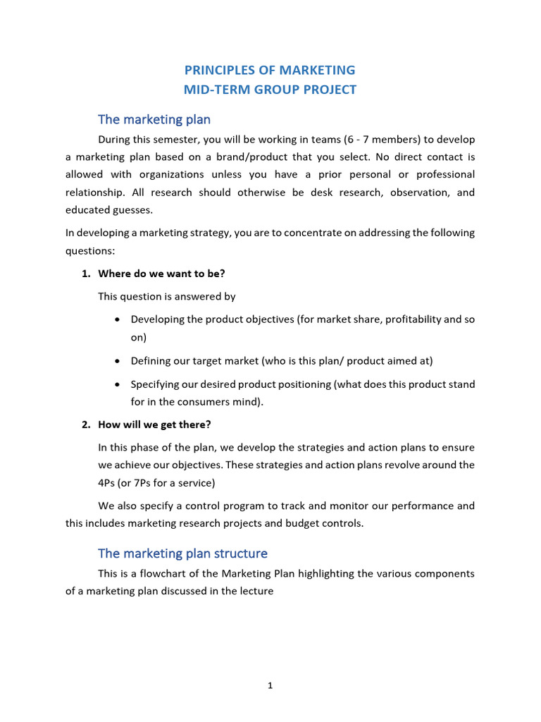 Principles of Marketing - Course Project | PDF