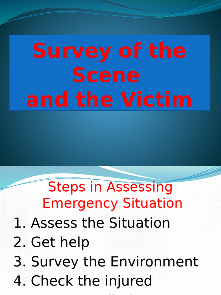 Survey of The Scene and Victim 2 | PDF