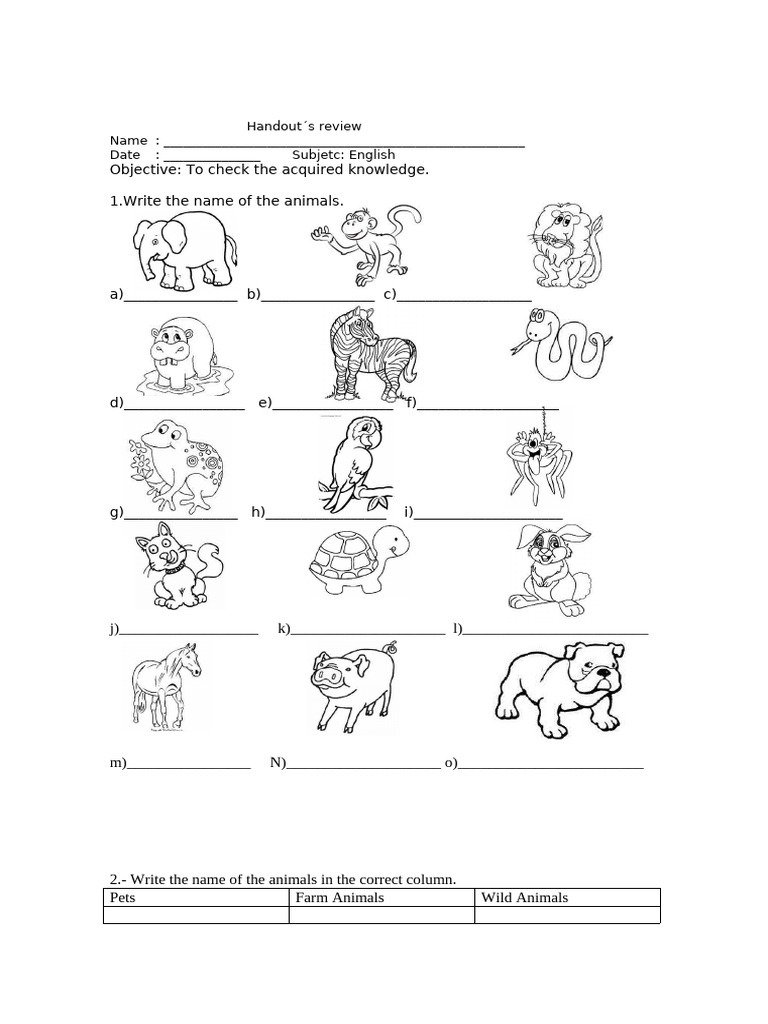 Animals Fun Activities Games 4234 | PDF