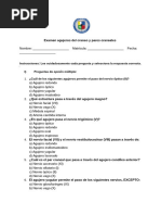 Metodo de Katona - REHABILITACION | PDF | Neurología | Cerebro
