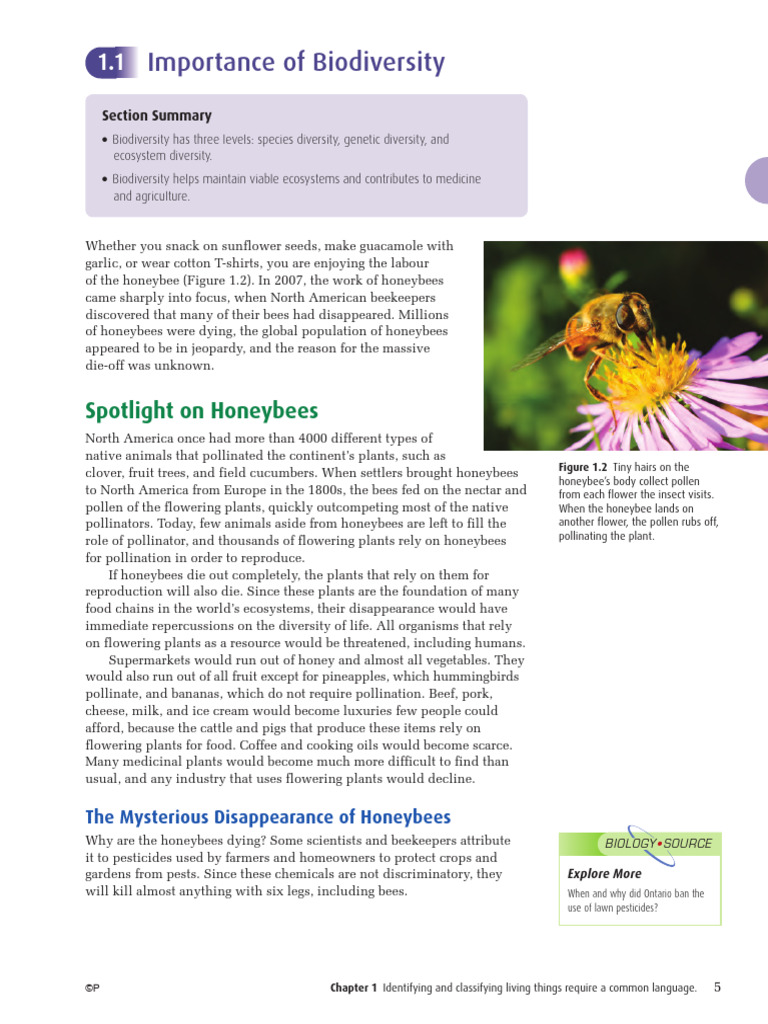 Diversity Chapter 1 Textbook p1 | PDF | Biodiversity | Honey Bee