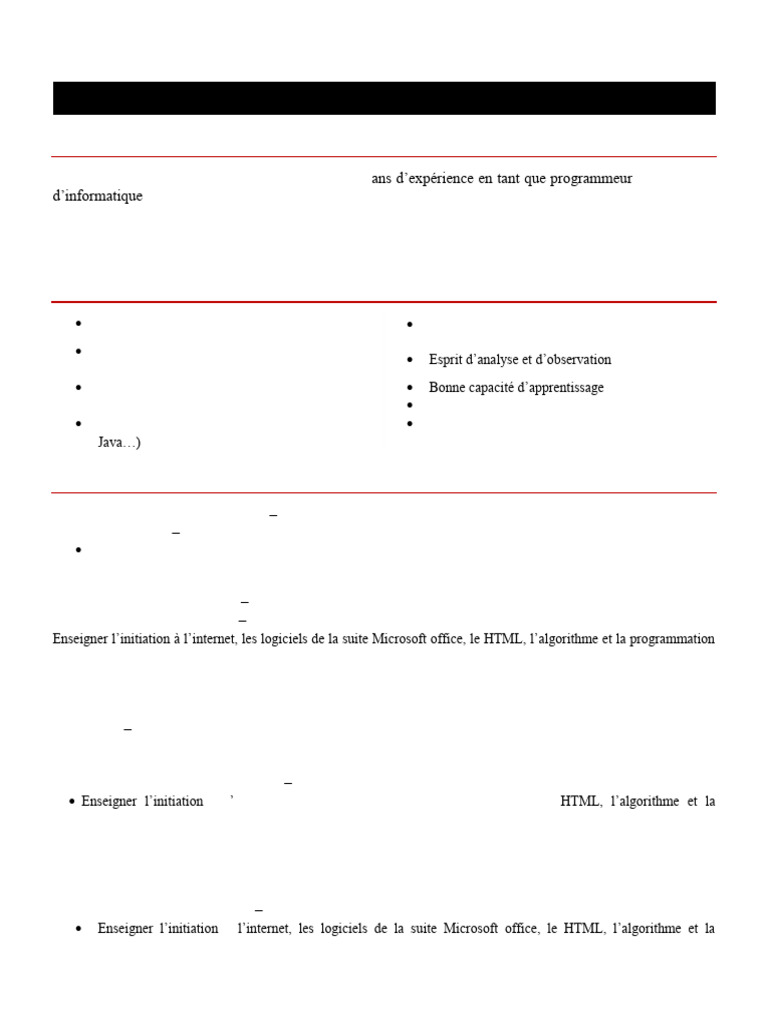 Programmeur et Professeur en Informatique | PDF | Informatique ...