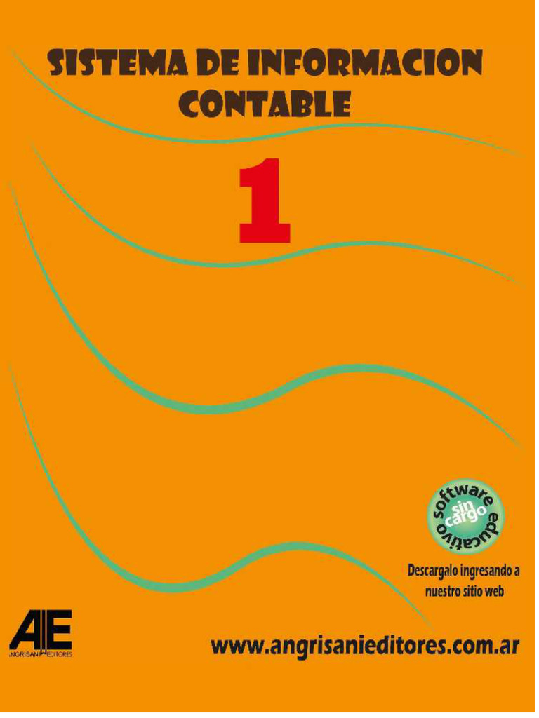 Sistema de Informacion Contable | PDF