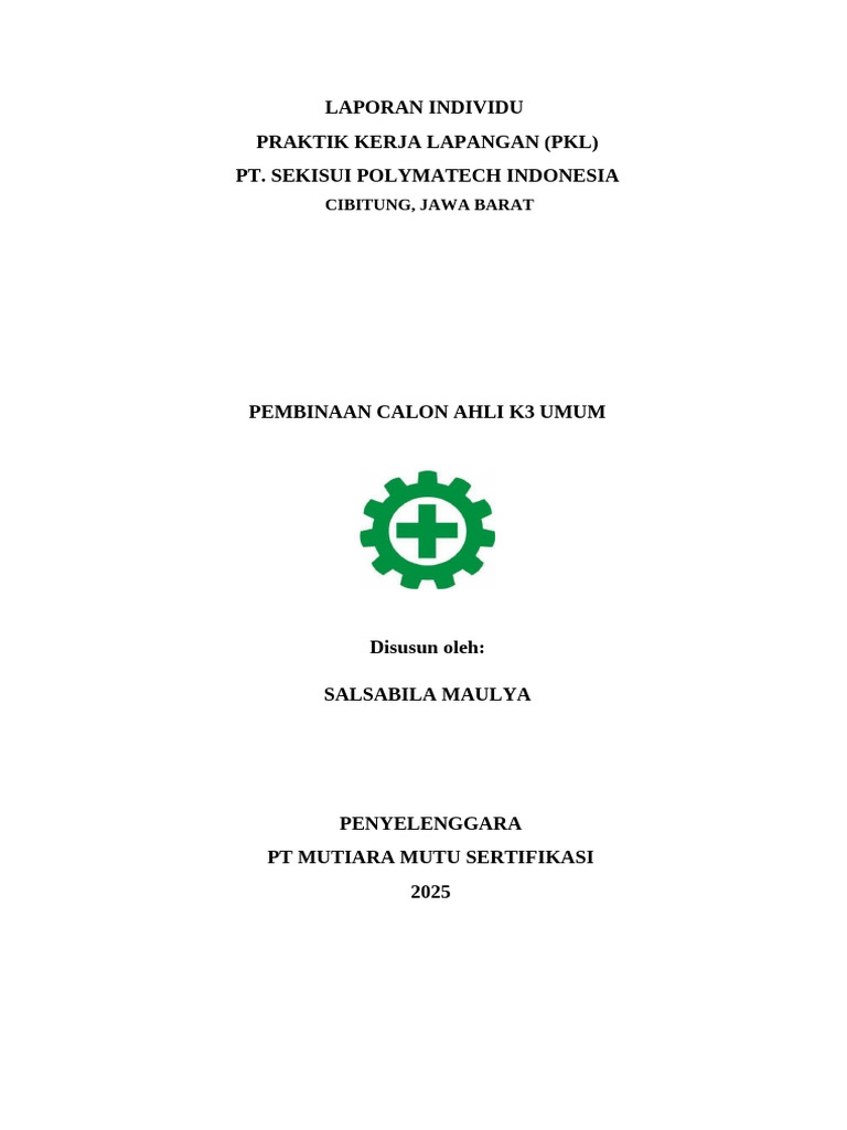 (MMS) Template Laporan Individu (Umum) | PDF