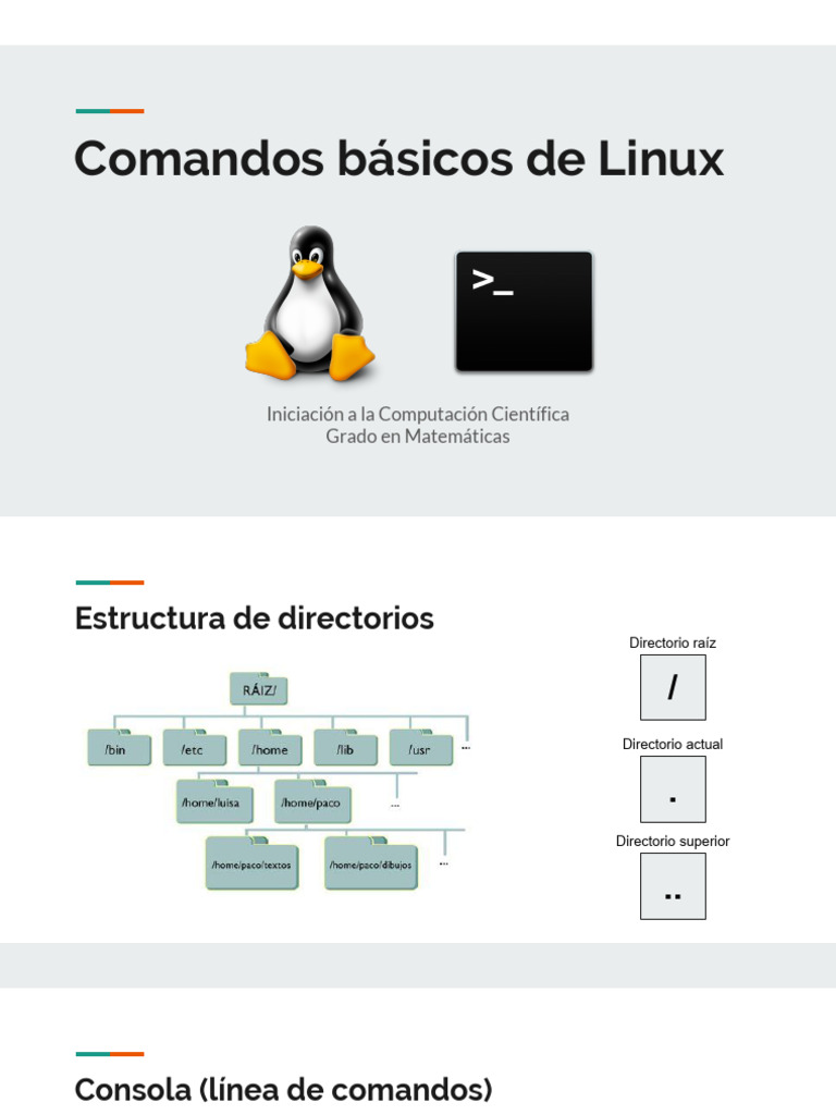 Comandos Básicos de Linux | PDF | Archivo de computadora | Interfaz de línea de comando