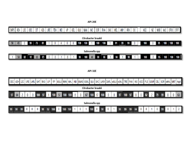 Api 20E: Citrobacter Braakii | PDF