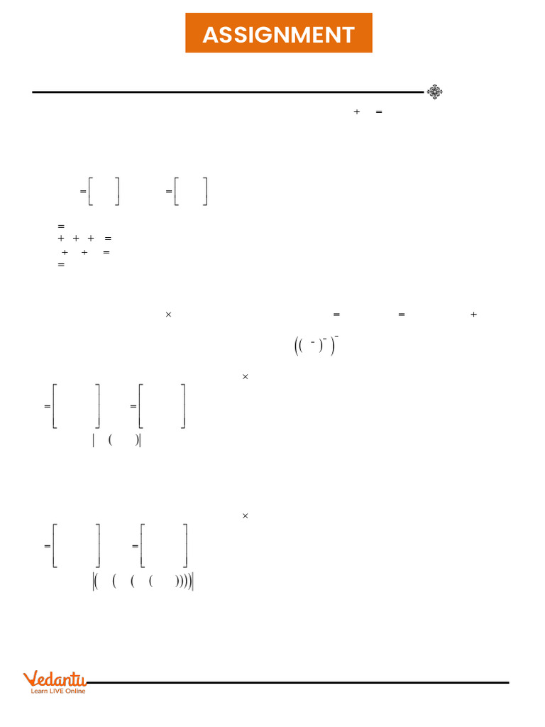 Matrices Assignment Final | PDF | Matrix (Mathematics) | Functional Analysis