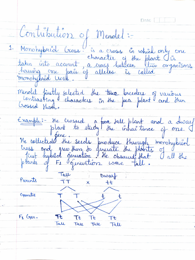 Heredity Video 2 | PDF