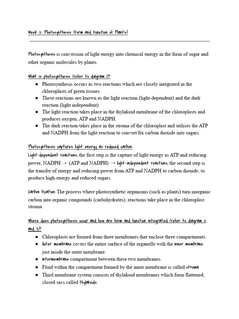 Understanding Photosynthesis in Plants | PDF | Photosynthesis | Chlorophyll