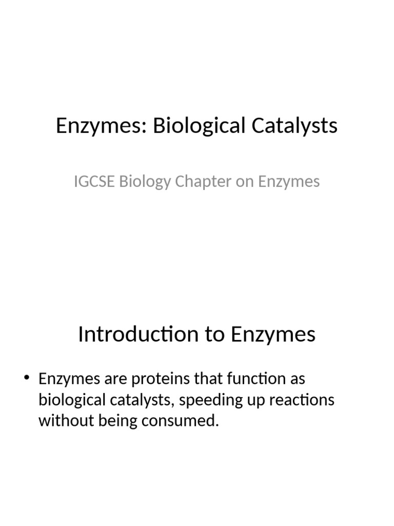 Enzymes_Presentation_IGCSE | PDF