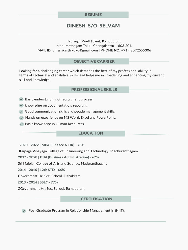 Dinesh Professional Resume | PDF