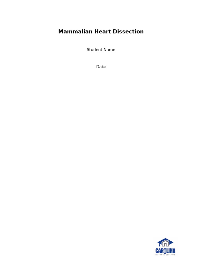580183 Mammalian Heart Dissection Q (1) | PDF