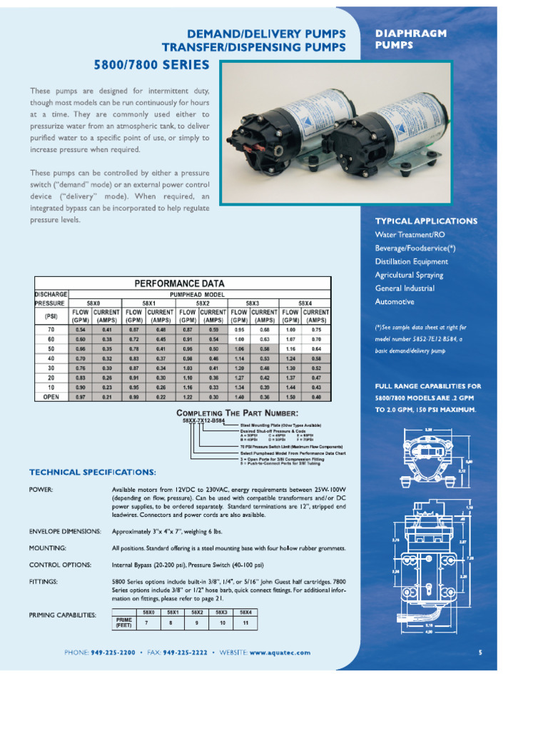 5800-Delivery Pumps Data | PDF
