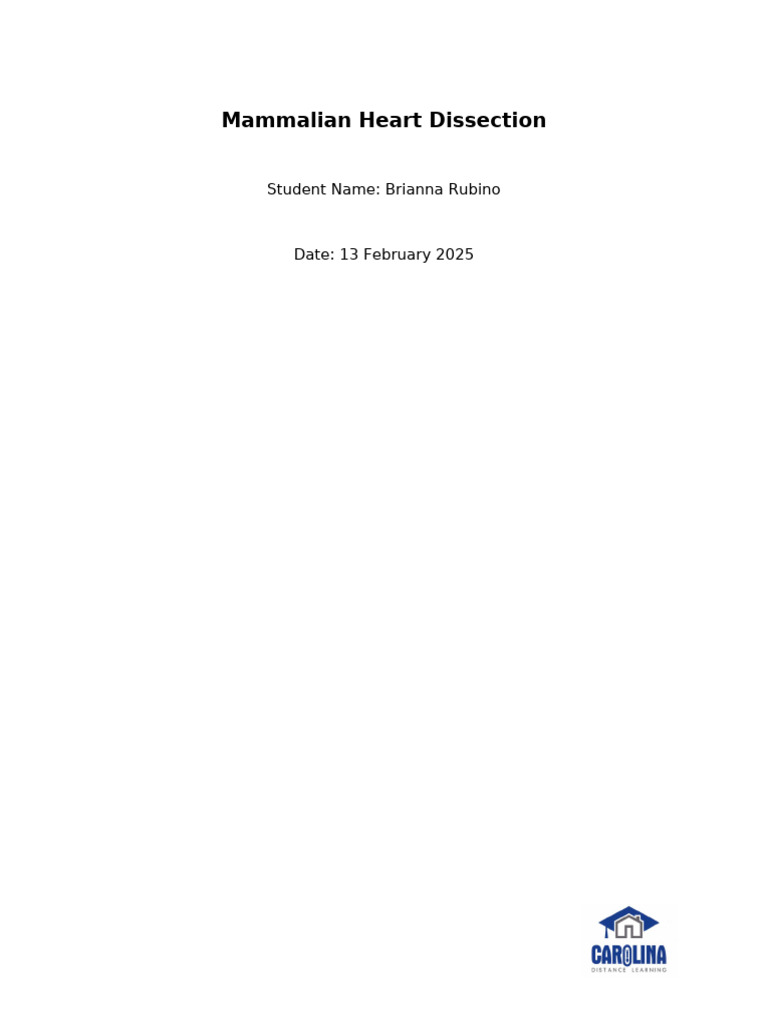 Sheep Heart Dissection Lab Guide | PDF