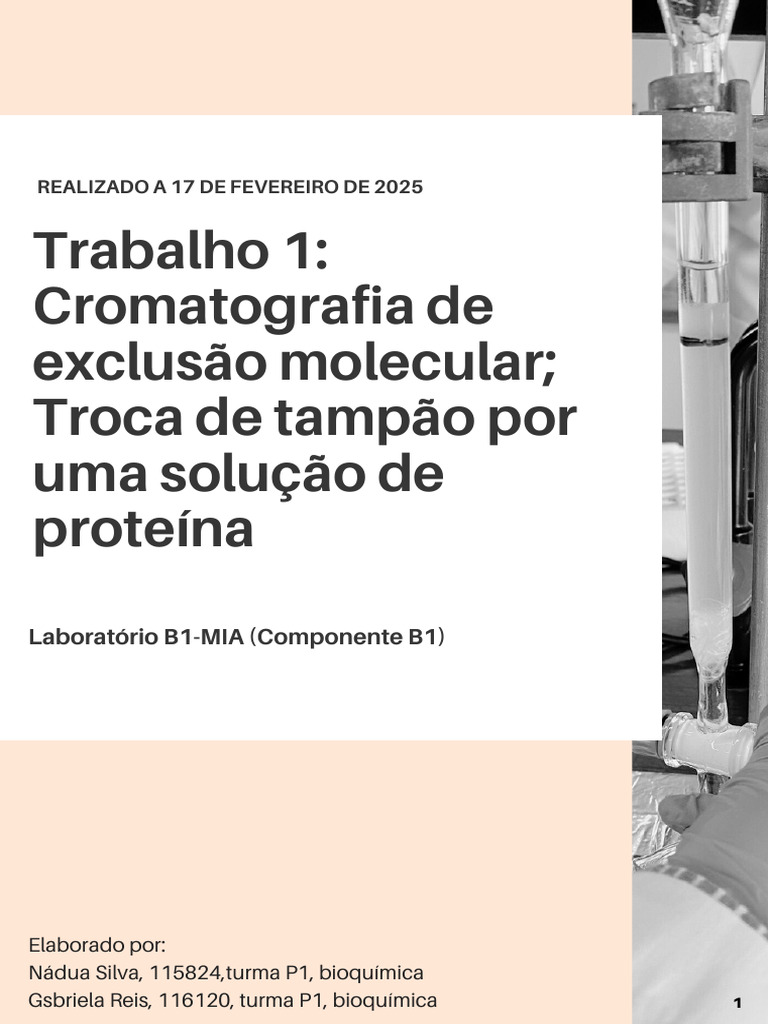 Relatório Trabalho 1-Lab B1 | PDF | Cromatografia | Absorbância