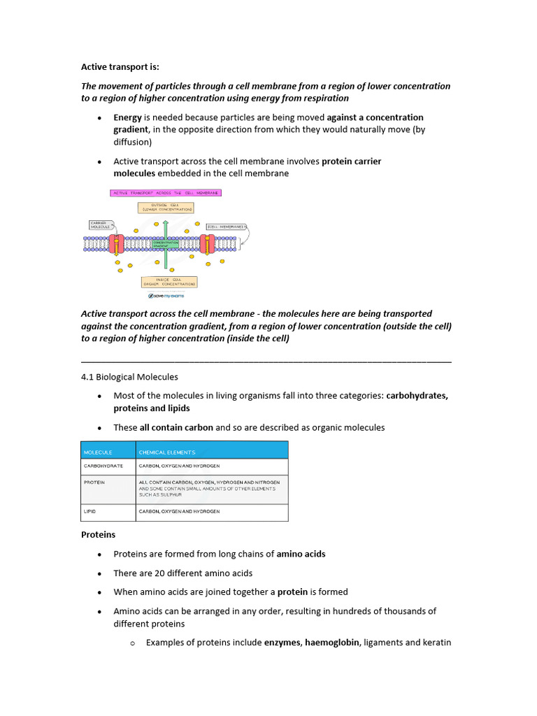 Combined Science Notes | PDF | Ion | Redox