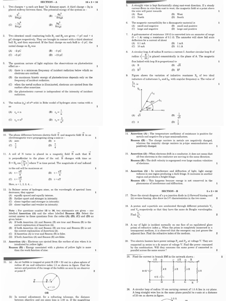 2024 PYQ With Marking Scheme | PDF