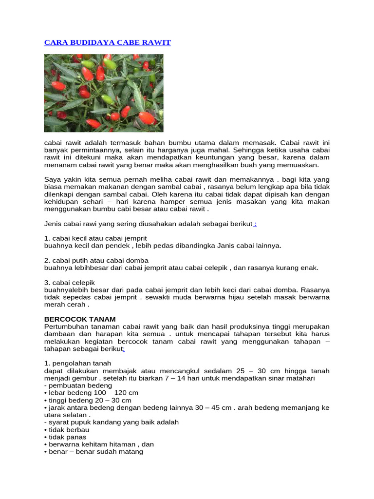 Panduan Budidaya Cabe Rawit Lengkap | PDF