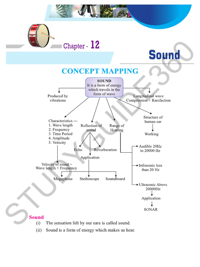 Class 9 Science Notes Chapter 12 Studyguide360 | PDF