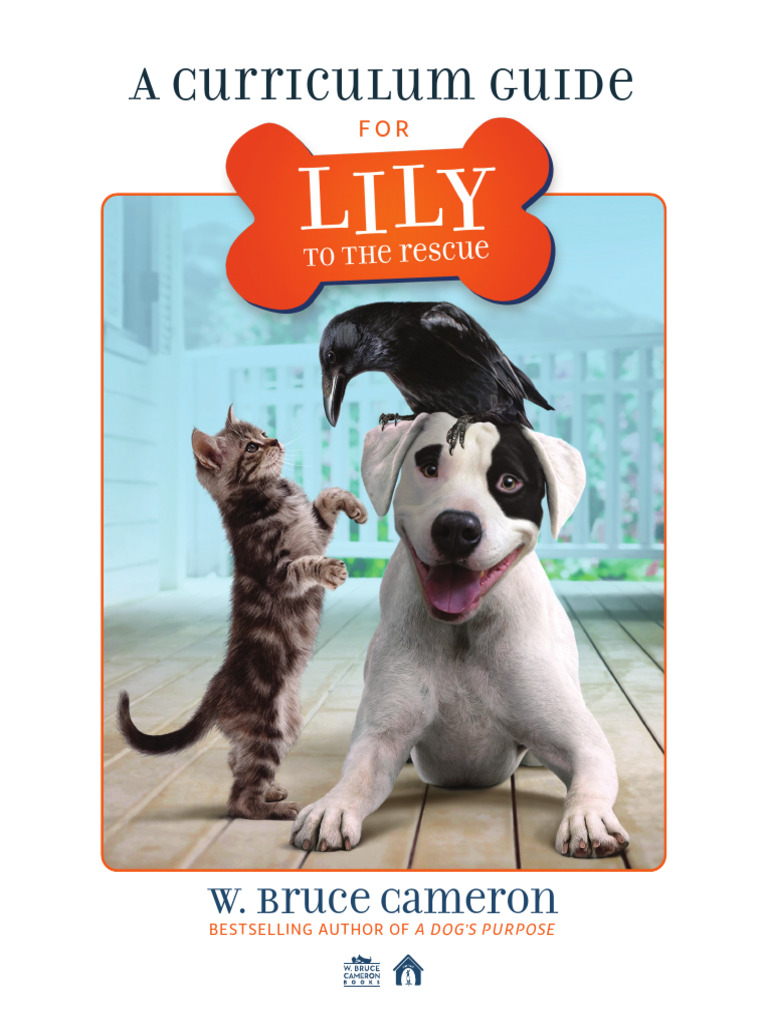Lily to the Rescue Curriculum Guide | PDF