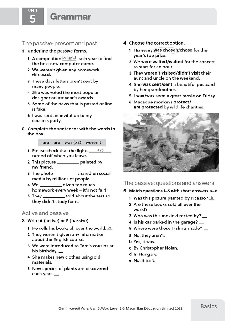 Grammar Basics U5 | PDF