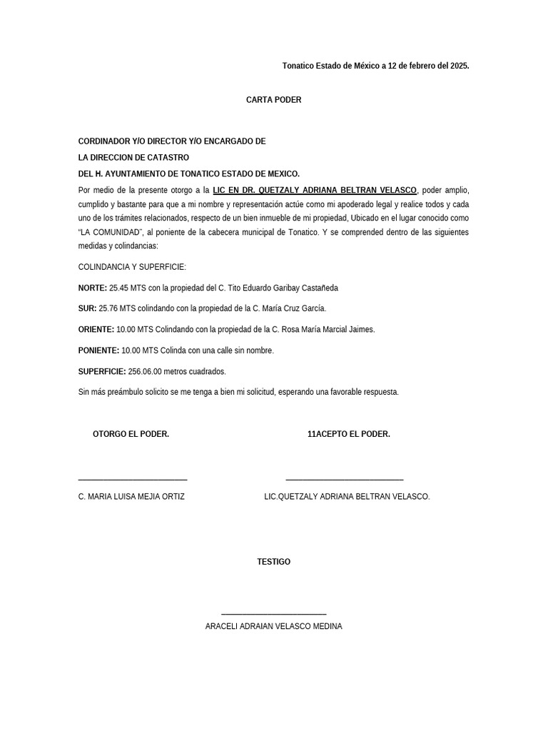 CARTA PODER SEÑORA T. | PDF