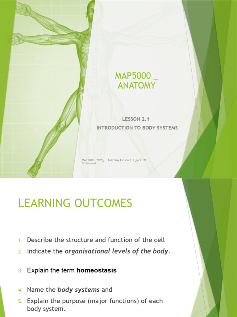 Anatomy 2025_Lesson 2_Introduction to Body Systems - Tagged | PDF ... Anatomy 2025_Lesson 2_Introduction to Body Systems - Tagged | PDF ...