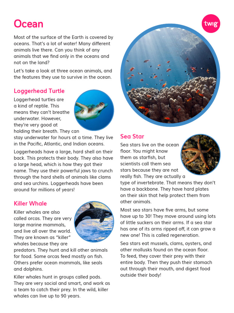 Environmental Conditions and Organism Traits Handout | PDF | Grassland ...