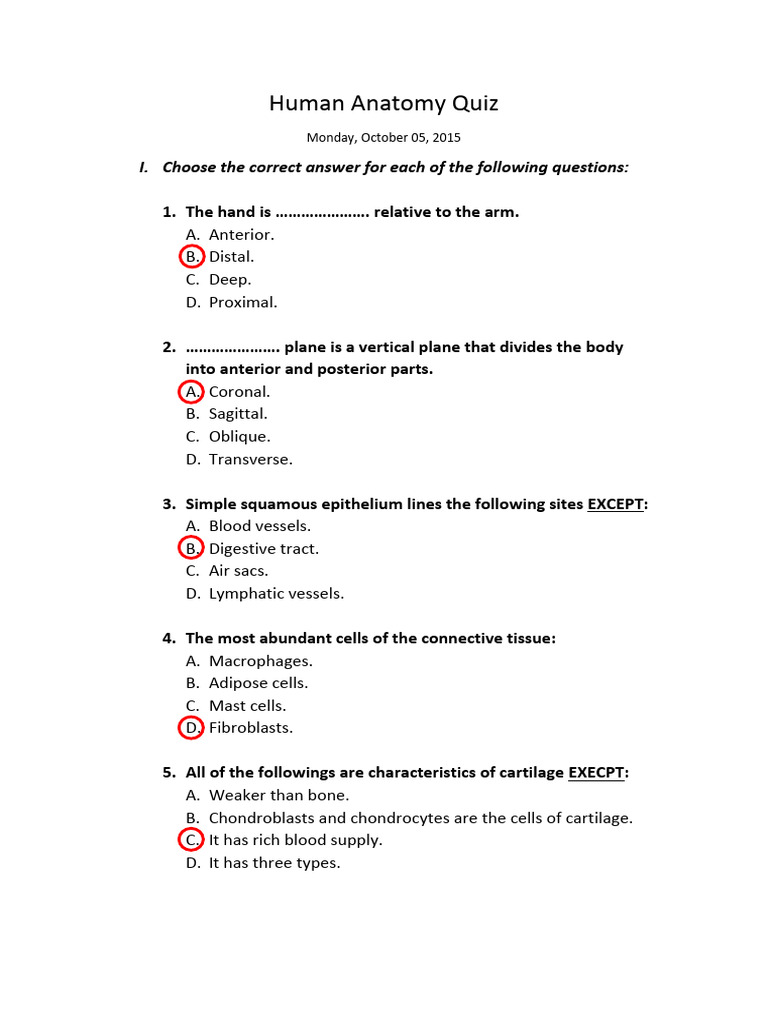 Human Anatomy Quiz | PDF