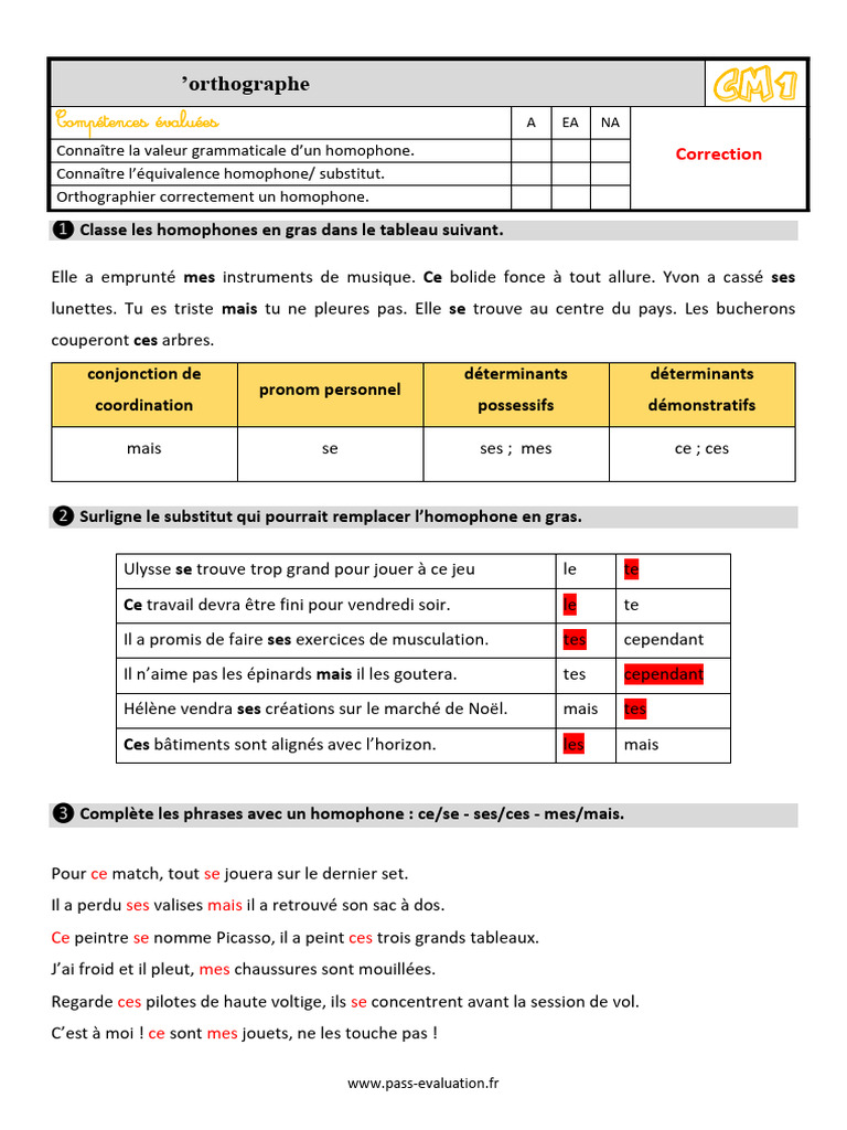 Évaluation des Homophones CM1 | PDF