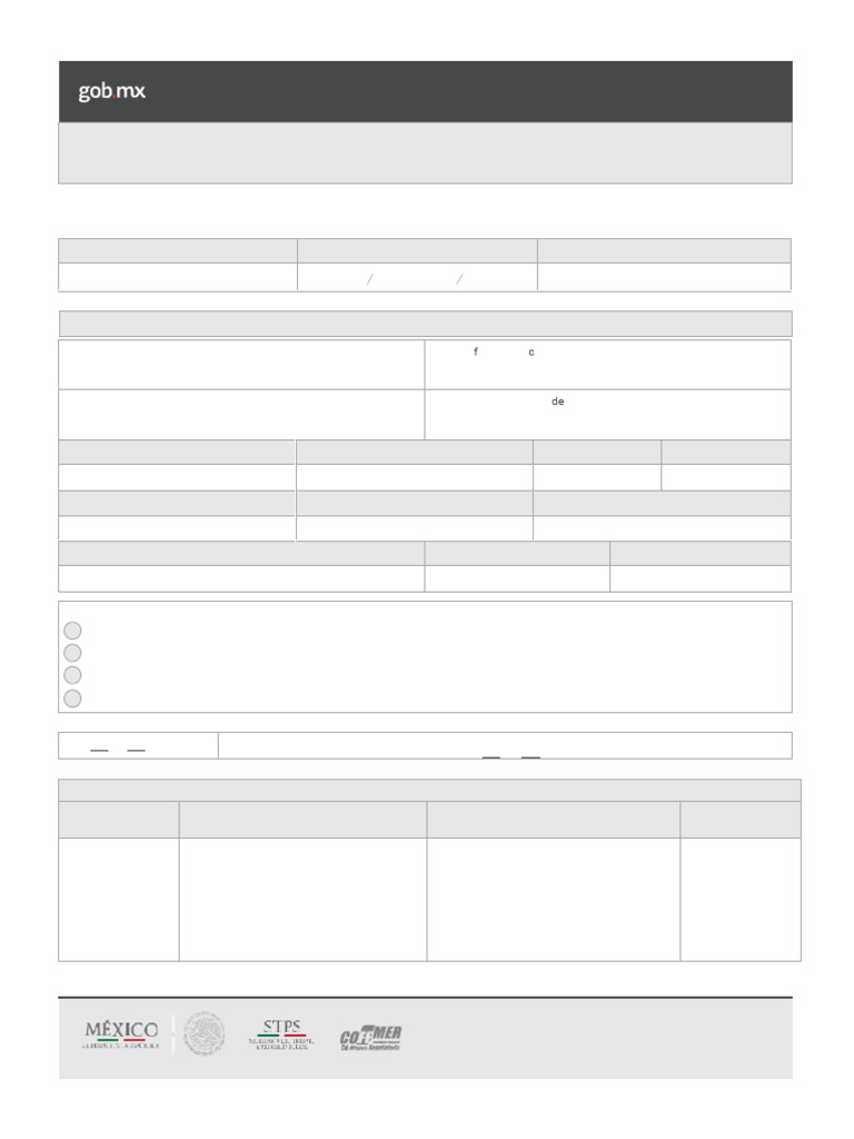 STPS Formato DC 5 | PDF