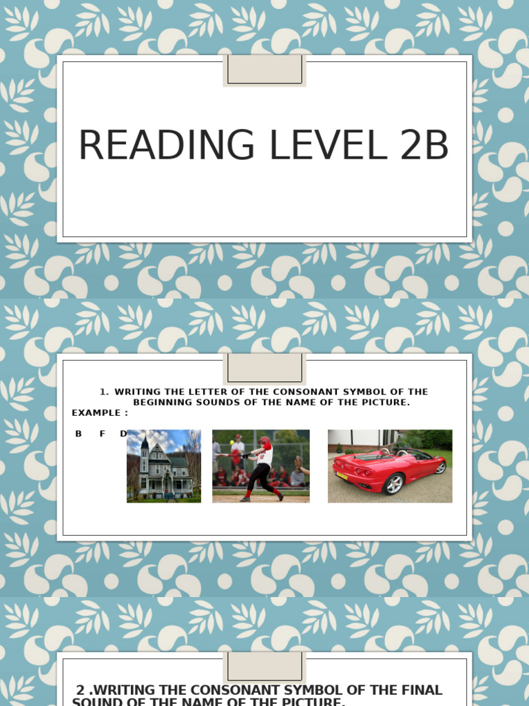 Reading level 2b | PDF
