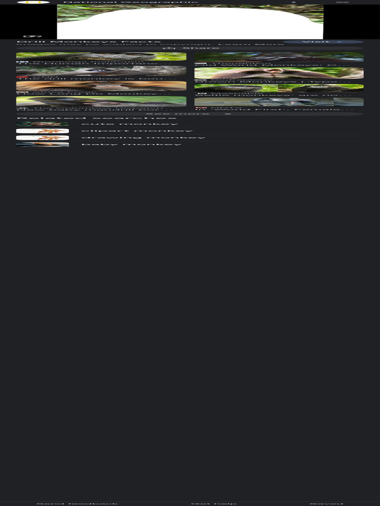 Monkey - Google Search | PDF