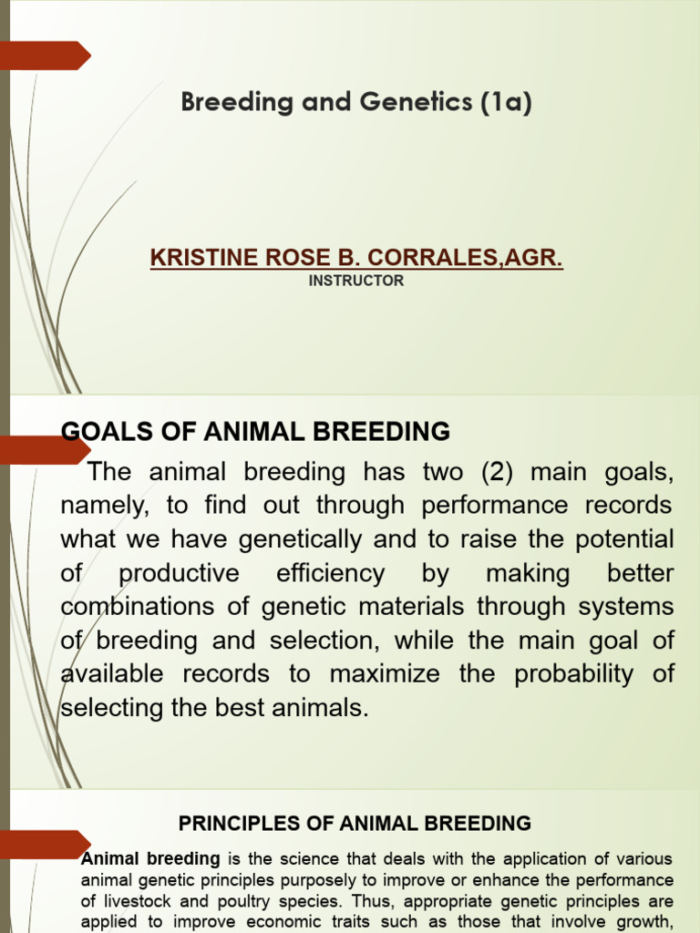 Breeding and Genetics | PDF | Selective Breeding | Heredity