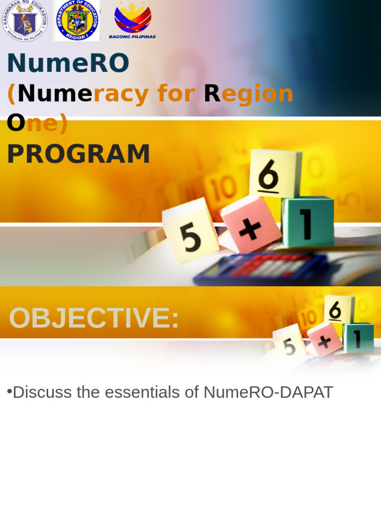 NumeRO-DAPAT: Enhancing Numeracy Skills | PDF | Learning | Human Communication