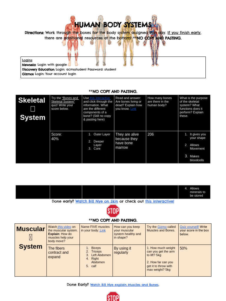 HUMAN BODY SYSTEMS Student Hyperdoc-1 | PDF | Central Nervous System ...