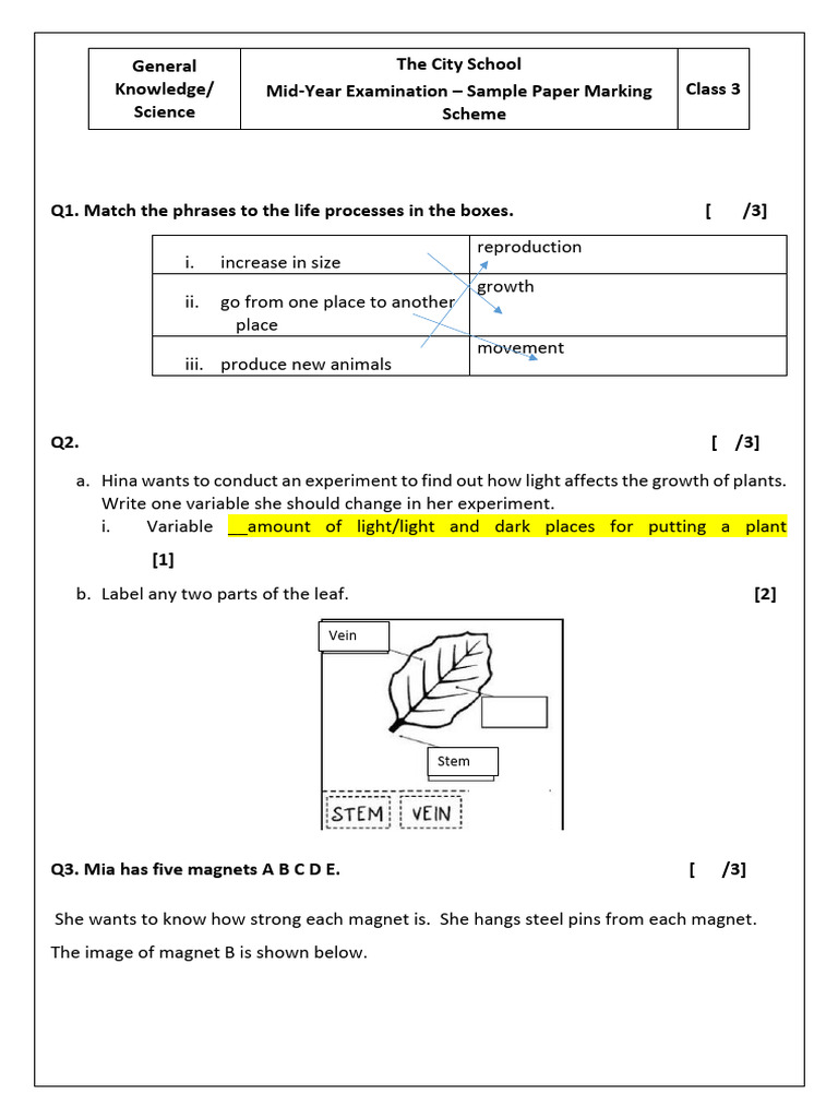 Sample Paper MS Grade 3 MYE 23-24 | PDF | Tooth | Foods