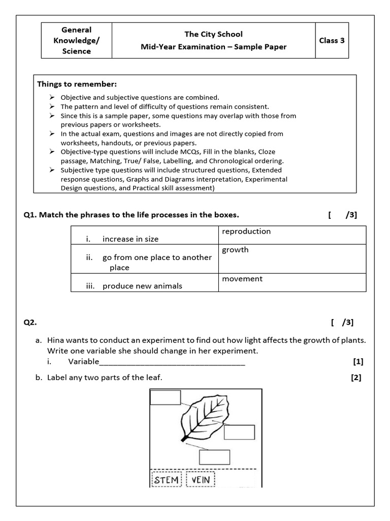 Sample Paper Grade 3 MYE 23-24 | PDF | Tooth