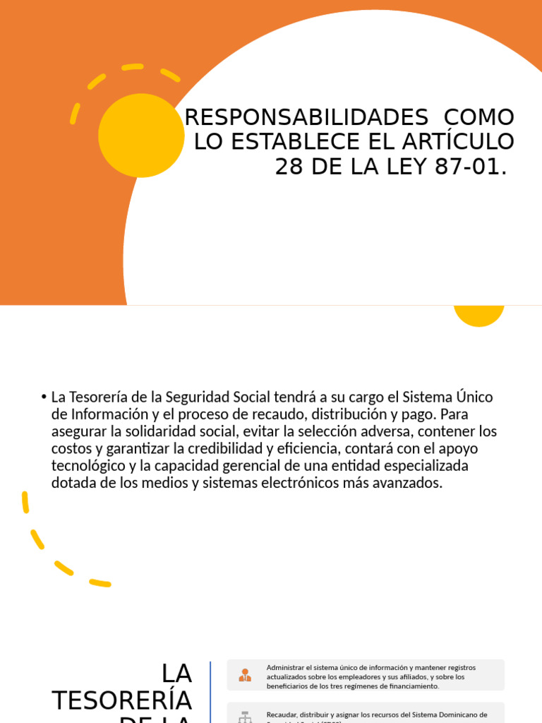 Responsabilidades Como Lo Establece El Artículo 28 de La Ley 87-01 ...