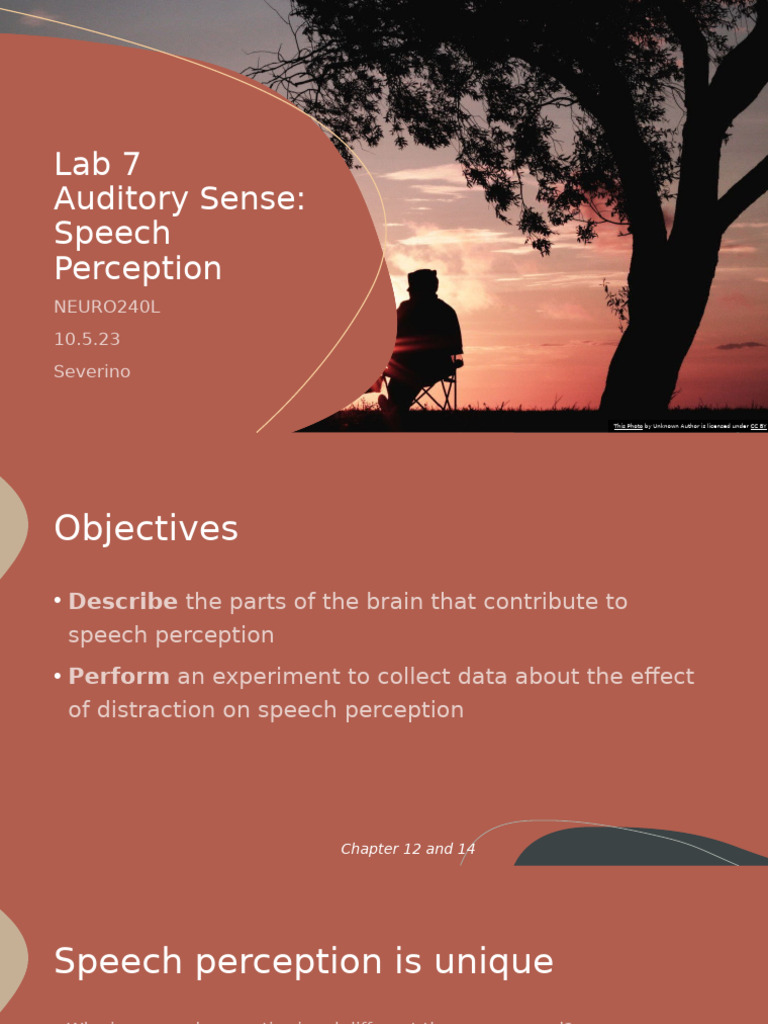 10.5.23 NEURO240L Auditory Sense Speech Perception Lab 7 | PDF | Speech | Auditory System
