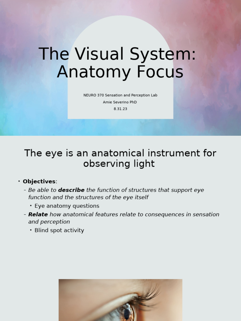 Sensation Perception Lab 2 8.31.23 The Visual System PT 1 | PDF