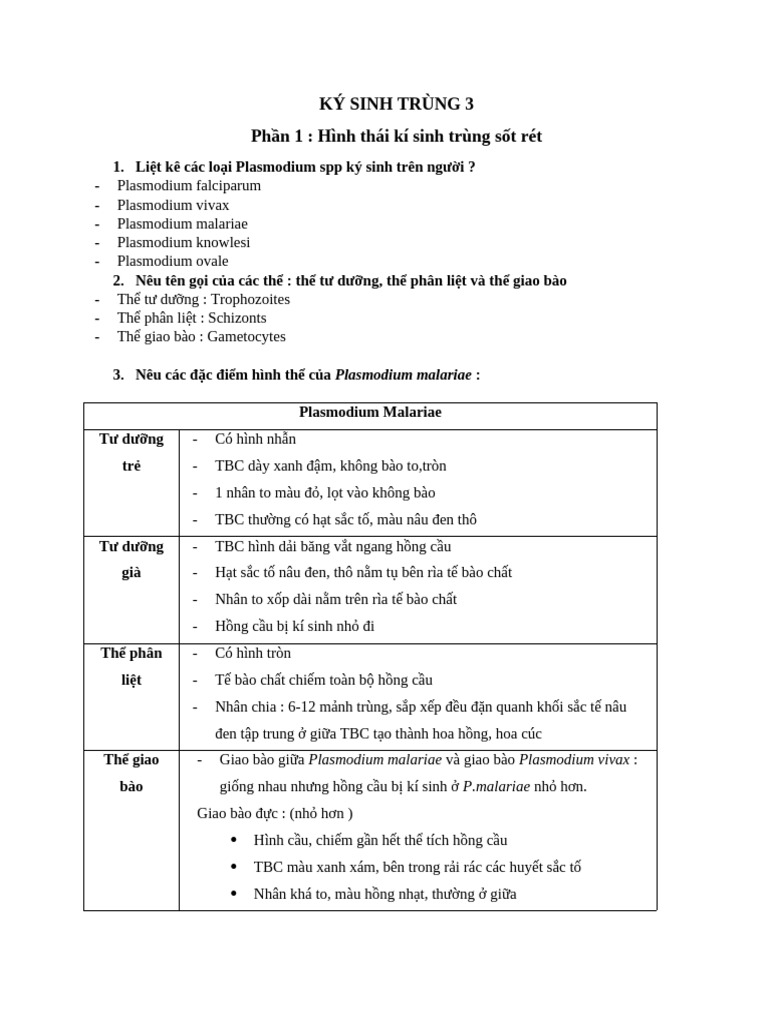 CÂU HỎI ÔN TẬP KST SR | PDF