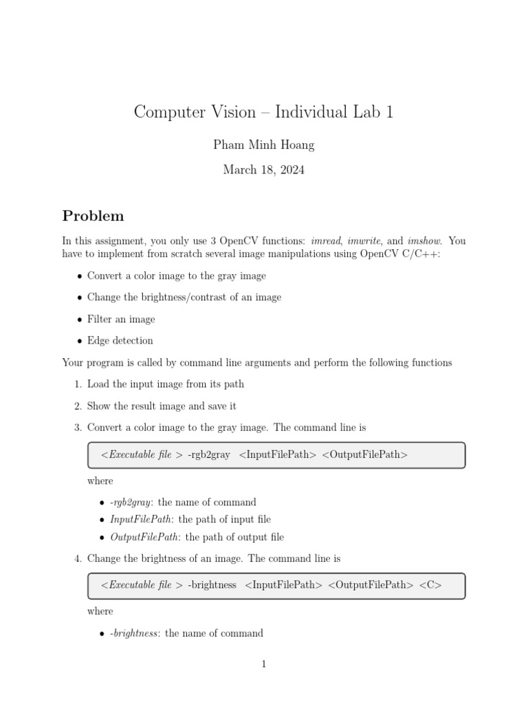 CVCLC Individual Lab 1 C | PDF | Computer File | Command Line Interface