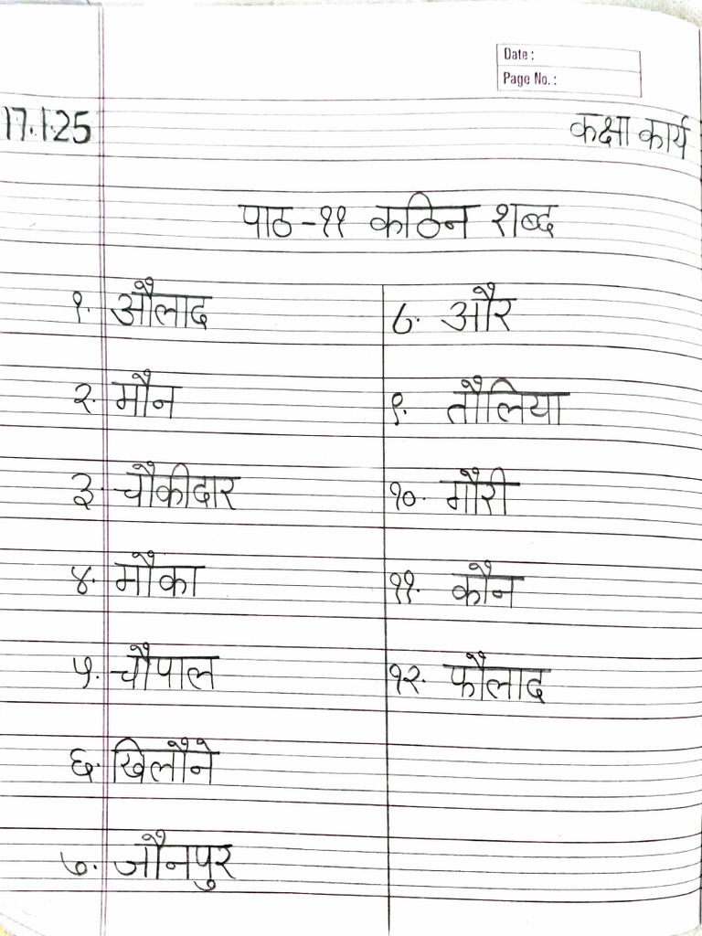 Hindi C.W. 17jan2025 | PDF