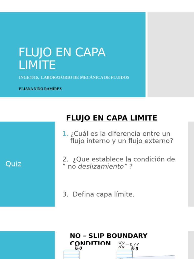 FLUJO EN CAPA LIMITE | PDF