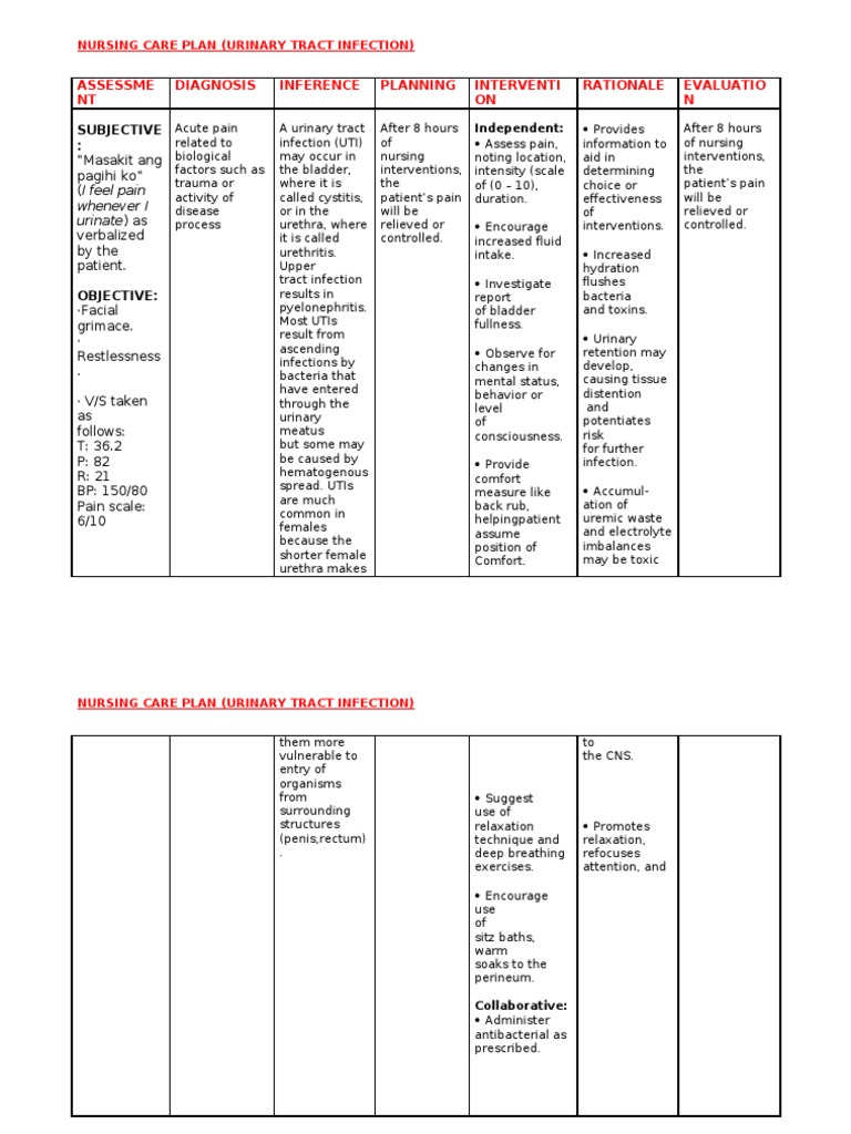 UTI Nursing Care Plan Overview | PDF
