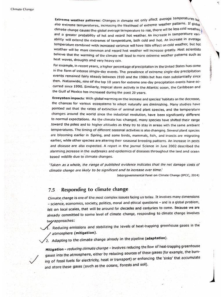 Nadia Ma'am Class 5.2.25 (Rio Summit) | PDF